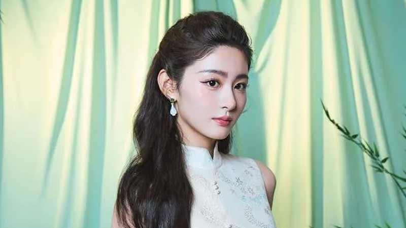 Zhao Qing: Hanfu Queen to Qipao's Timeless Statement - Newhanfu