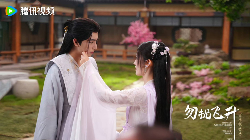 Flying up Without Disturb: The Phoenix Harpist’s Borrowed Power - Newhanfu