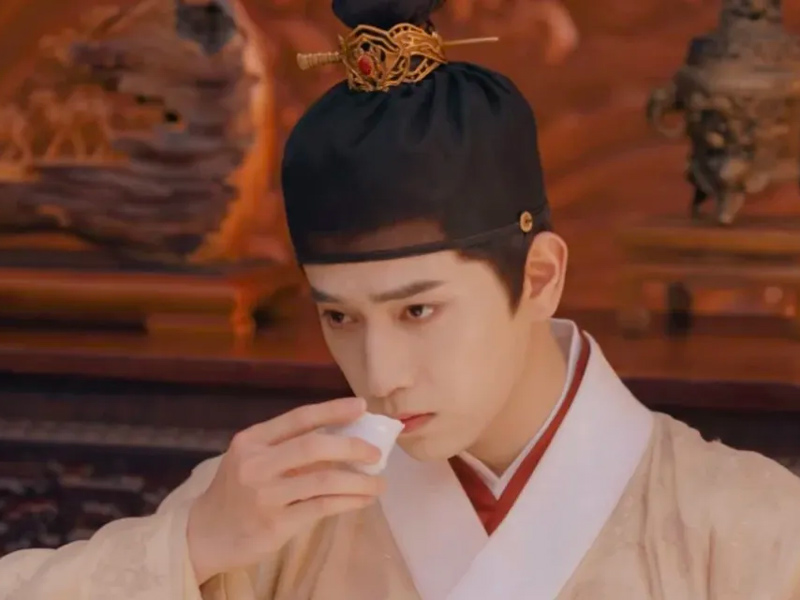 Unpacking the History of Ming Dynasty Wangjin - Newhanfu