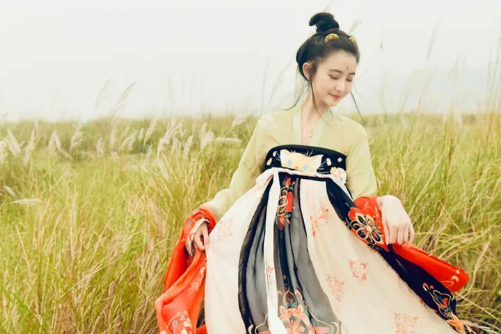 Cute Hanfu Suitable for Those Who Like the Cat - Newhanfu