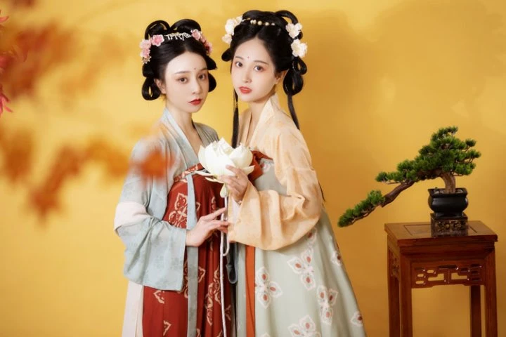 Ancient Chinese Hanfu Illustrated Book - Newhanfu