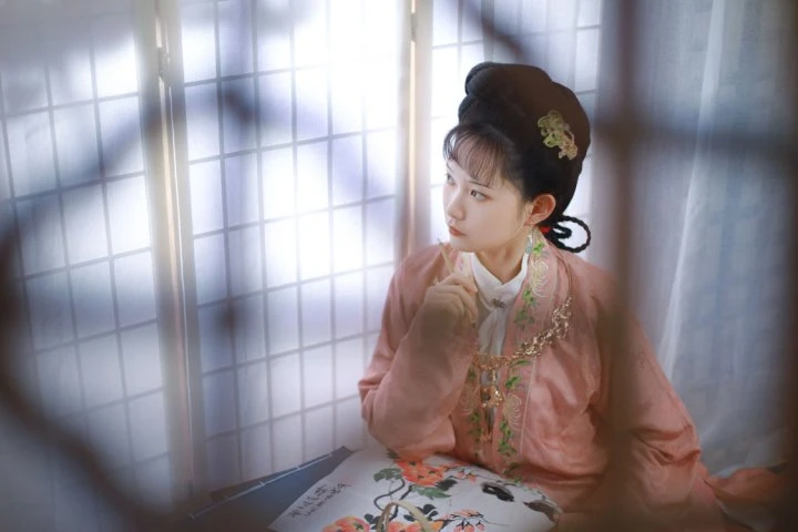 Post-90s Blogger’s Perfect Replica of the Dream of the Red Chamber ...