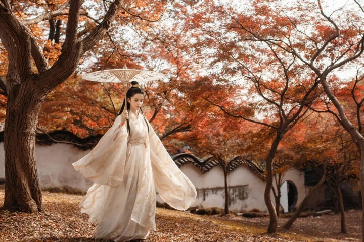 Autumn Chinese Clothing Hanfu Style - Newhanfu